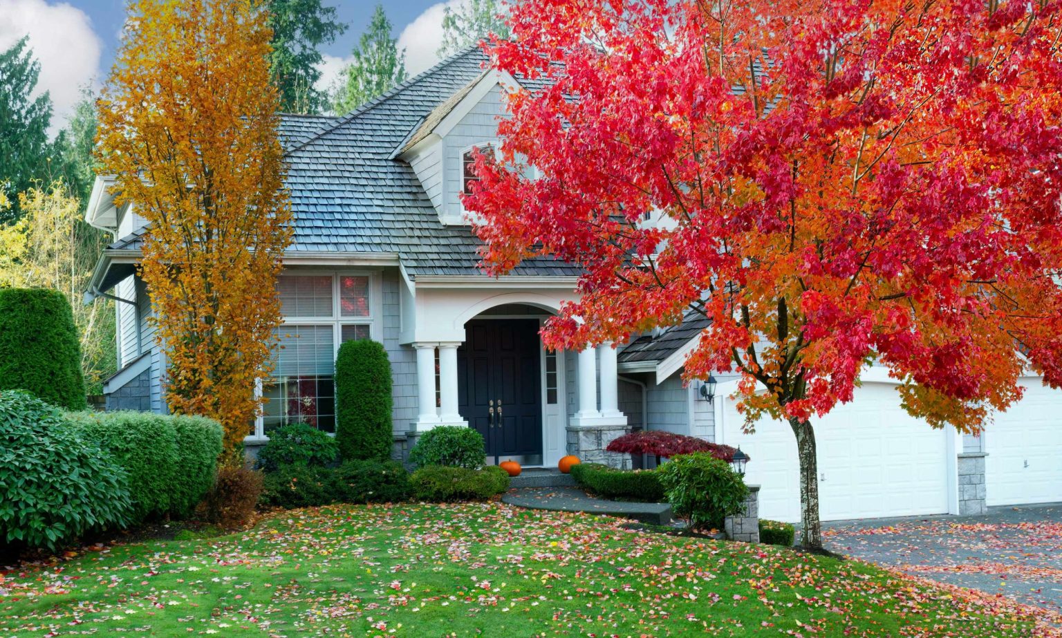 Strategies for Success for Agents & Brokers